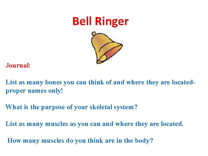 Body Systems Skeletal and Muscular PEP Curriculum Bell