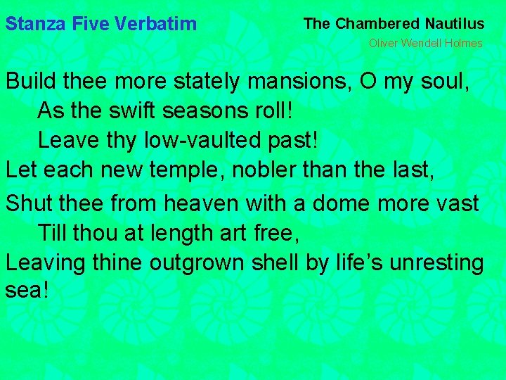 The Chambered Nautilus Oliver Wendell Holmes Stanza One