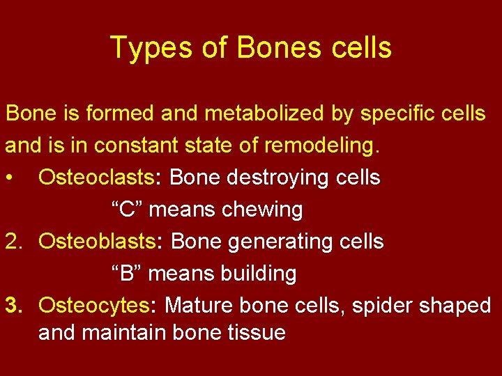 CHAPTER 6 Bones Tissue 1 2 3 4