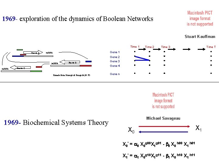 Source BohringerMannheim The History of Biological Networks Structures