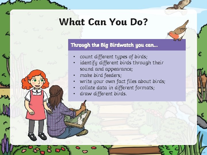 Why Do Birds Matter We often think that