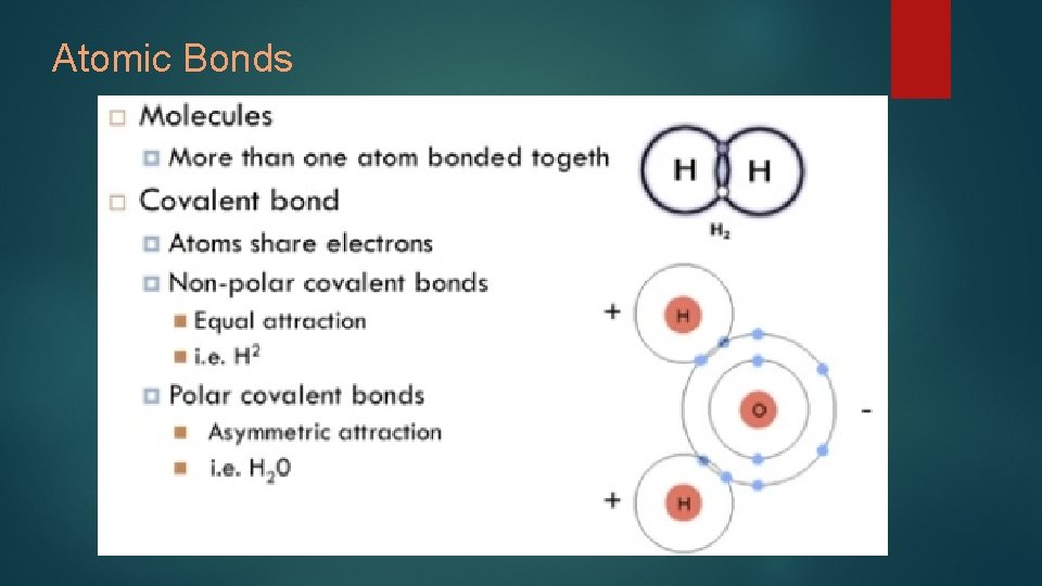 Welcome to Grade 12 Biology Bios life Ology