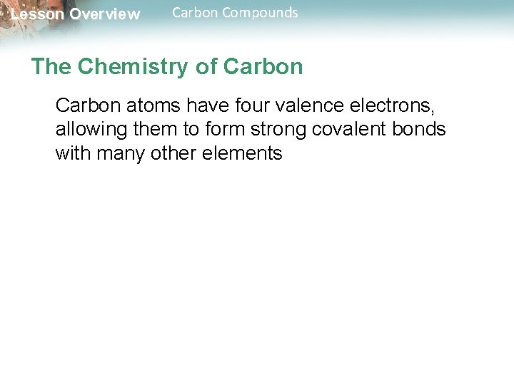 Lesson Overview Carbon Compounds Essential Question Why is