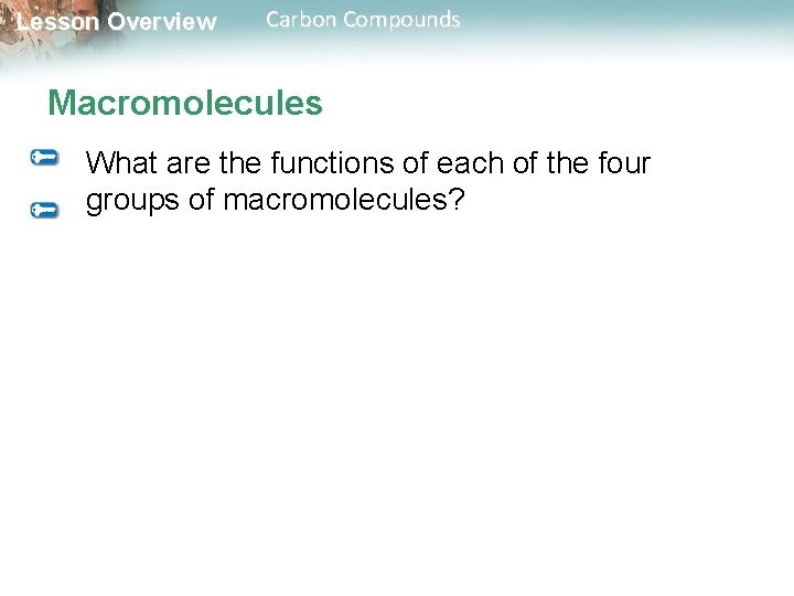Lesson Overview Carbon Compounds Essential Question Why is