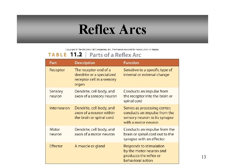 What Are We Learning Objectives By the end
