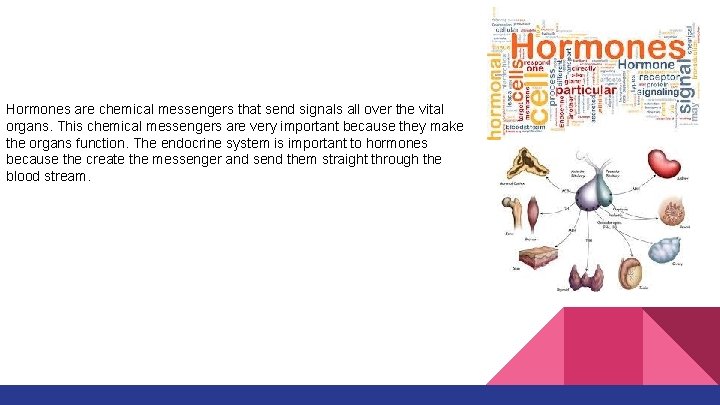 Welcome To Group 14s Presentation By Jonathan Nehmeh