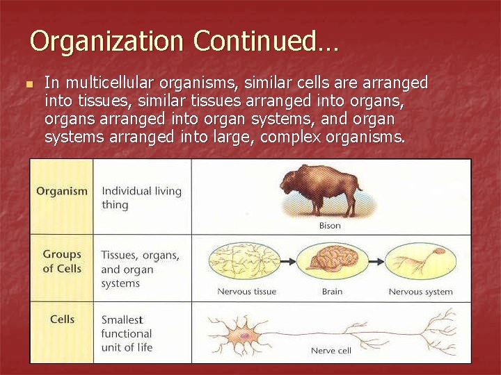 NOTE SHEET 1 Introduction to Biology What is