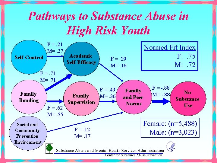 FamilyFocused Prevention of Substance Abuse Karol L Kumpfer
