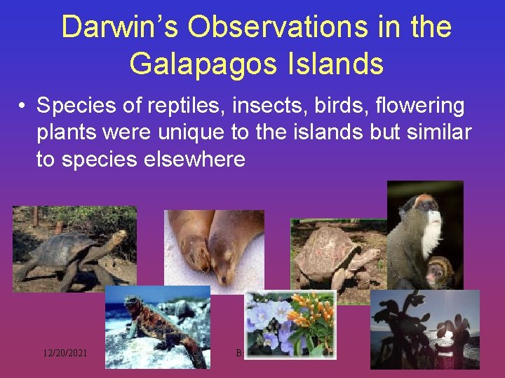 Charles Darwin British naturalist 1809 1882 Founder of
