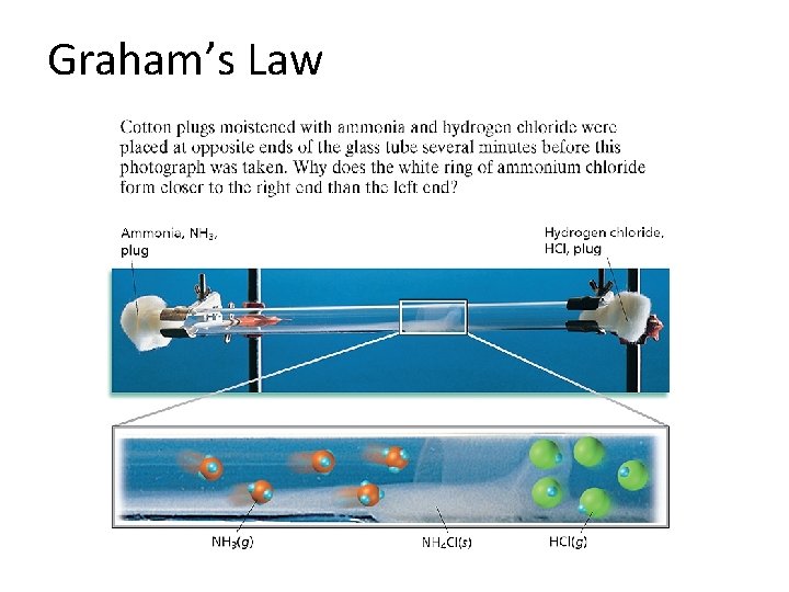 The KineticMolecular Theory of Gases based on the