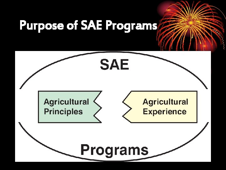 Supervised Agriculture Experience The possibilities are endless What