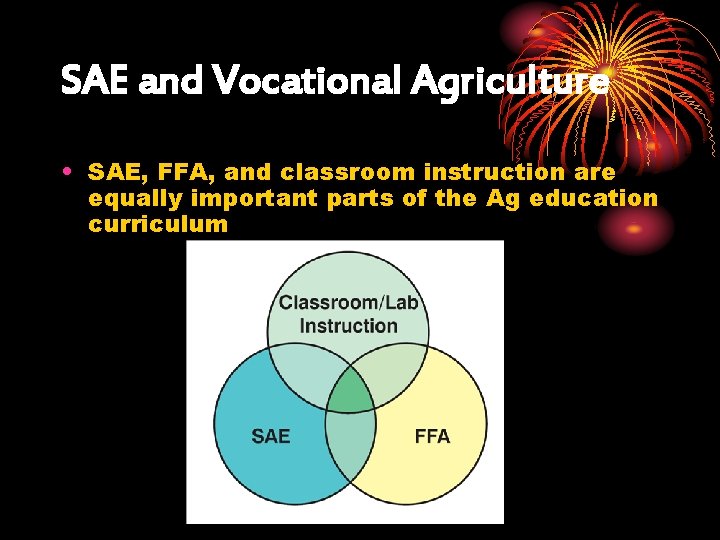 Supervised Agriculture Experience The possibilities are endless What