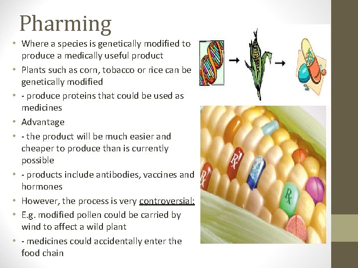 Specialised plant uses S 3 Biology Learning Outcomes