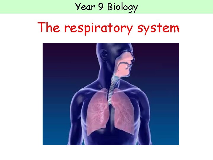 Year 9 Biology Respiration Year 9 Biology Respiration