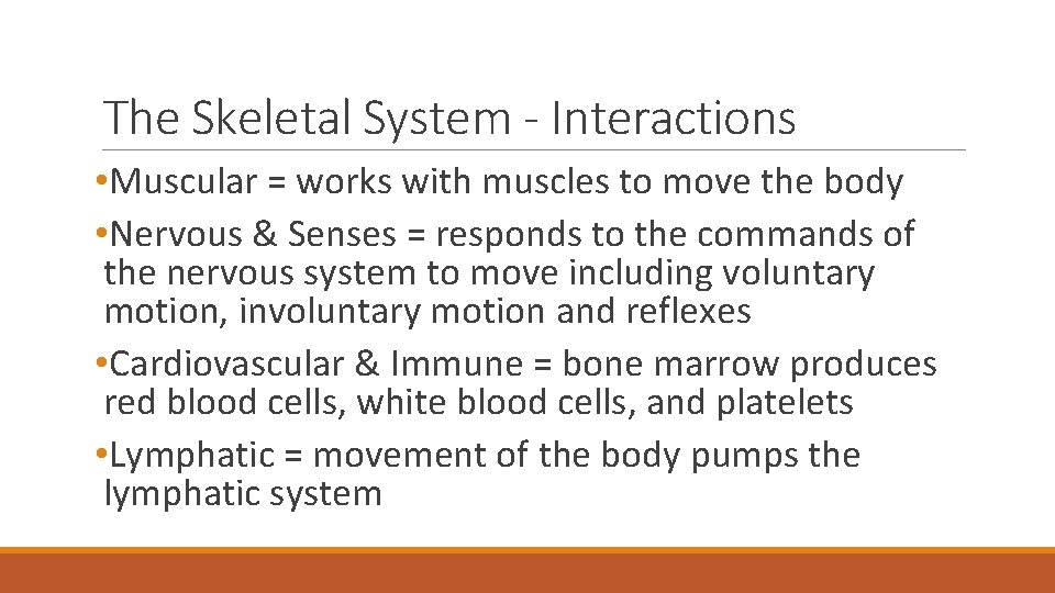Human Body Systems Group 1 Support THE SKELETAL