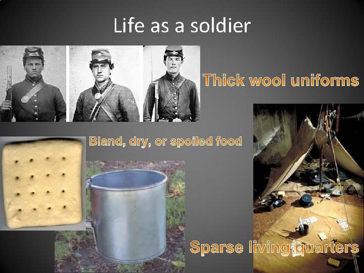 Blue and Grey The Civil War Secession and