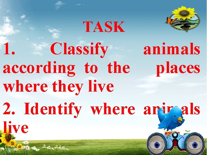 HOME SWEET HOME Animals Habitat TASK 1 Classify