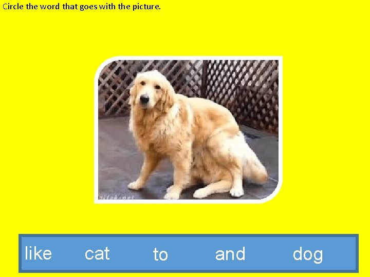 Systematic Sight Word Instruction Week 2 By the