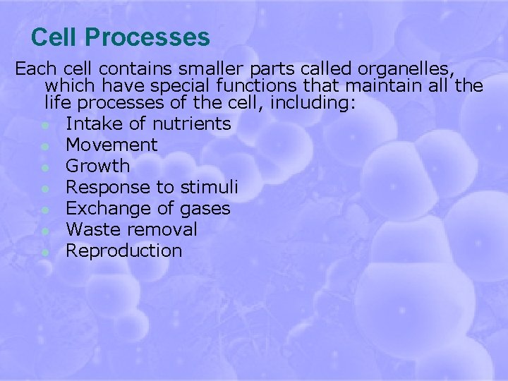 Biology Lesson 2 Animal Plant Cells The Cell