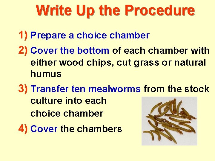 Mealworm Lab 1 Demonstrates experimental design principles and
