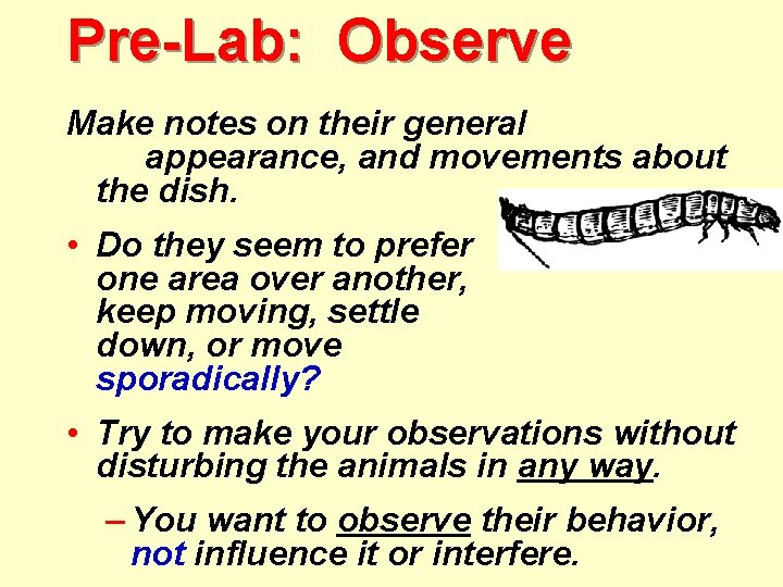 Mealworm Lab 1 Demonstrates experimental design principles and