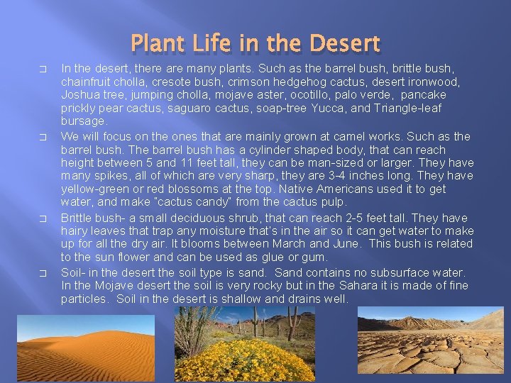 DESERT LIFE By Kara Bensel Anna Alwin Janice
