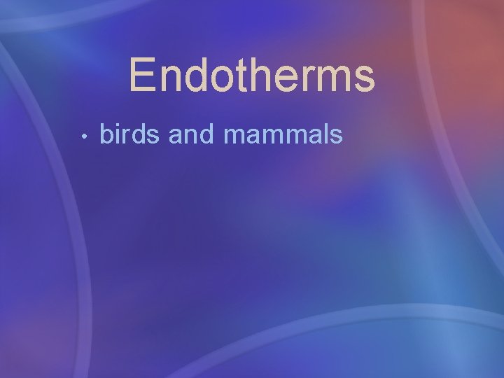 coldblooded ectothermic warmblooded endothermic endothermic within heat ...