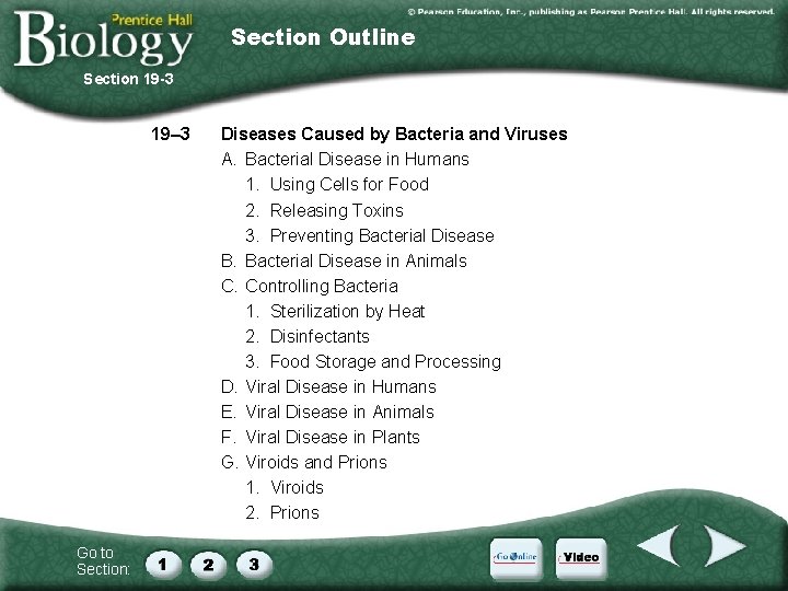 Interest Grabber Section 19 1 Under the Microscope