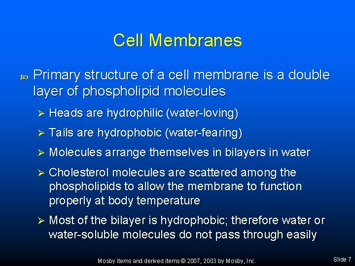 Chapter 3 Anatomy of Cells Mosby items and