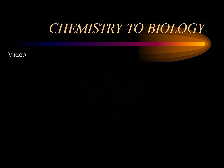 AP BIOLOGY 11 Chapter 26 The Origin of