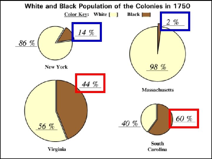 Regional Differences Among the British Colonies The Economies