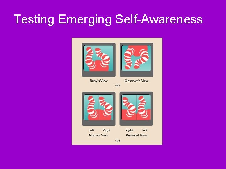 Self The combination of physical and psychological attributes