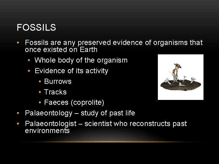GEOLOGICAL TIME Year 10 Biology 2014 EVOLUTION FOSSILS