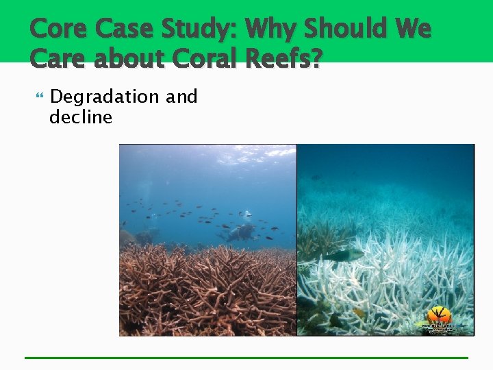 Aquatic Biodiversity Why Should We Care about Coral