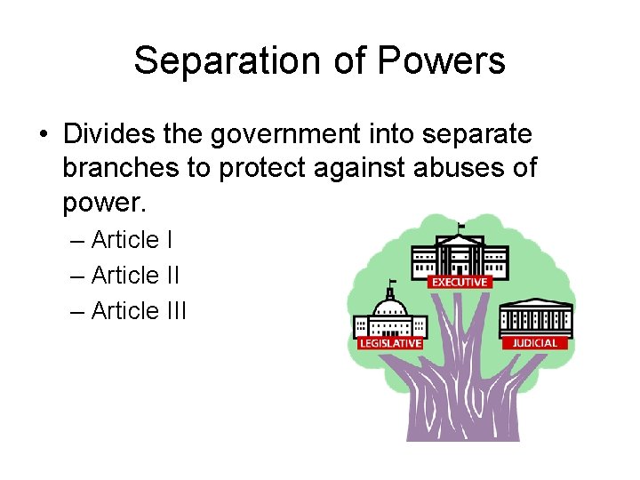 The Constitution Chapter 3 Section 1 BASIC PRINCIPLES