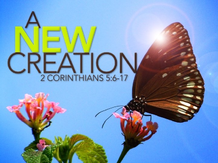 Five Things to Remember after Conversion Five Things