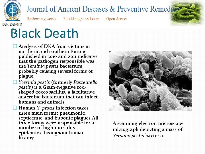 Could the Black Death become a reemerging infectious