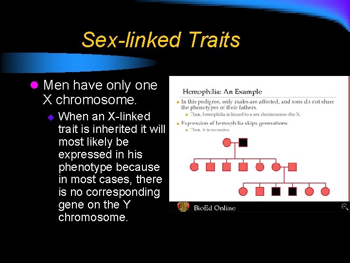 Sexlinked Traits and Pedigrees Biology Genetics Pedigree l
