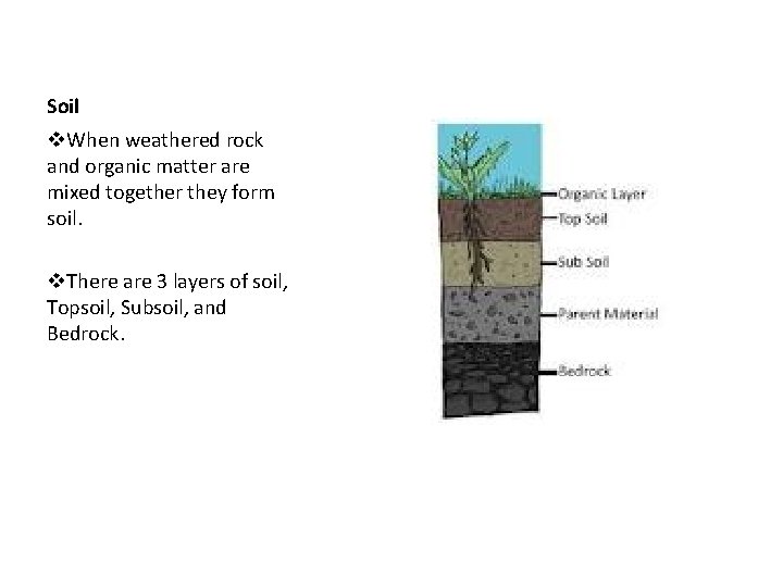 Surface Features of the Earth By Malorie Little