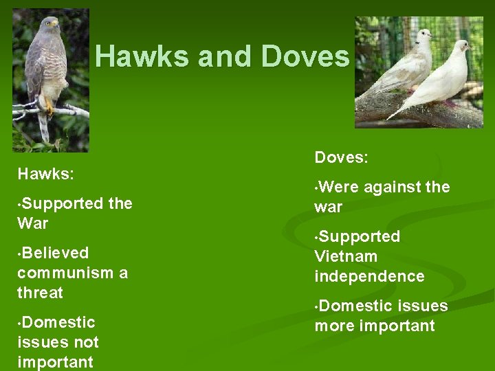 The Vietnam War Early Conflicts Background Info n