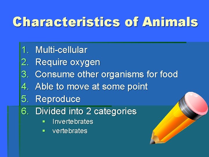 Classifying Animals Objective 4 1 Characteristics of Animals
