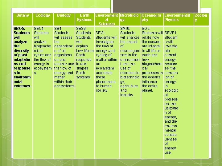 Flow of Energy Through Ecosystems Project by Patti