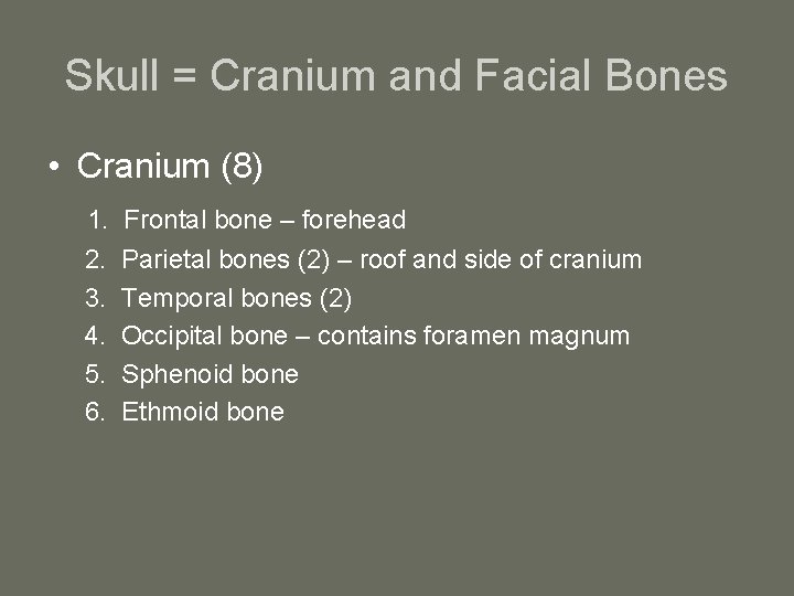 Bones of the Skull Skull Cranium and Facial