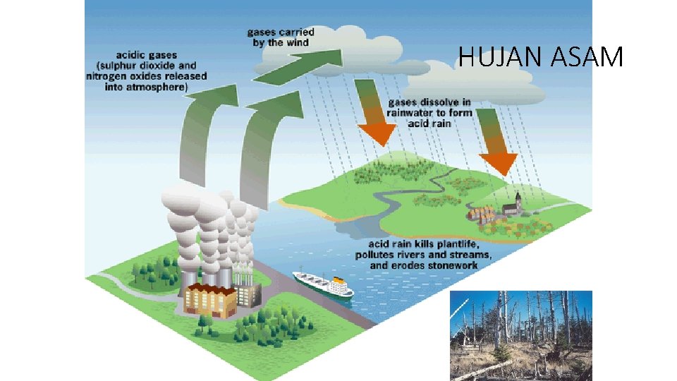 ASAM DAN BASA Part 2 KIMIA DASAR II
