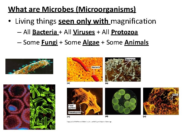 Intro to microbes and History of Microbiology What