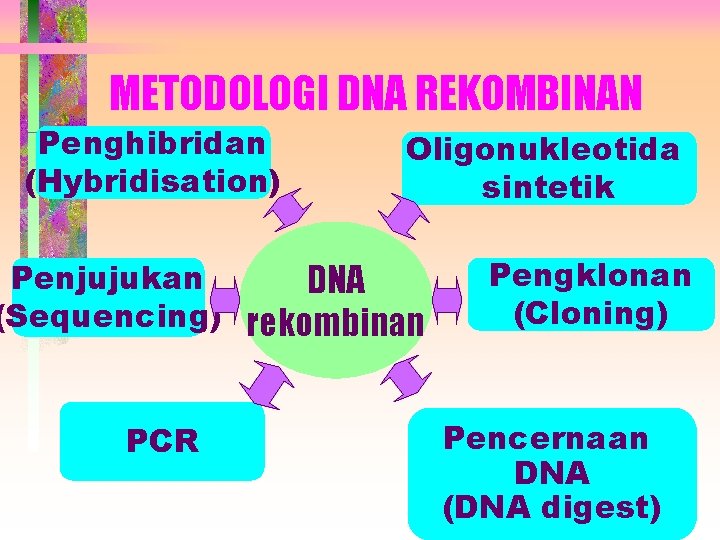 DNA REKOMBINAN Pengenalan DNA rekombinan Pengenalan kepada metodologi