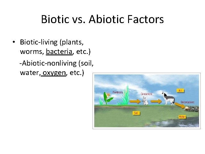 Ecosystems Biotic vs Abiotic Factors Bioticliving plants worms