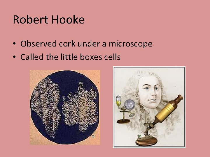 Cells Is fire a living thing Robert Hooke