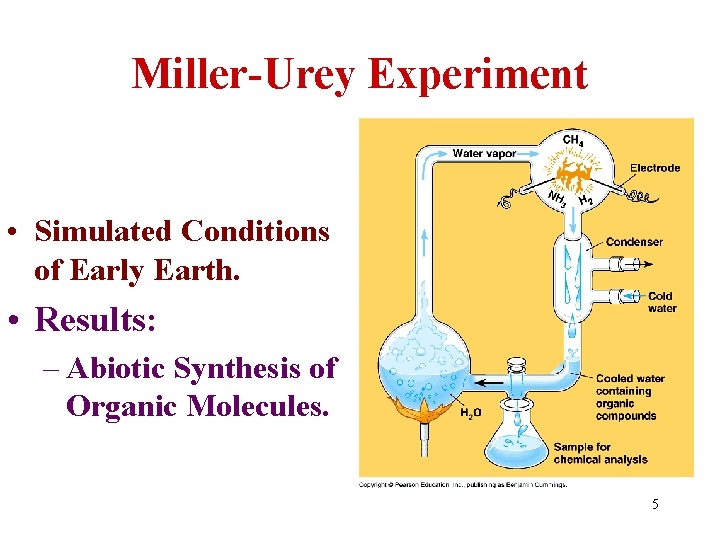 Botany 4 Lecture 32 Origins of Life Diversity