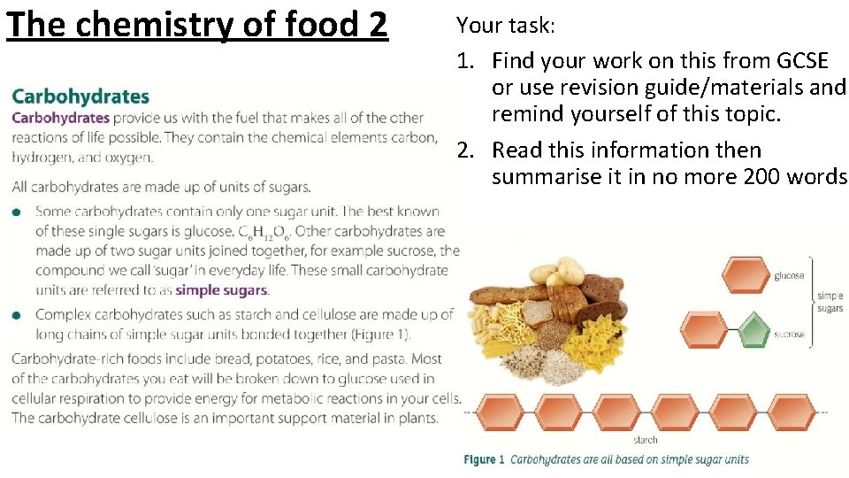 Biology Transition work for year 11 going into